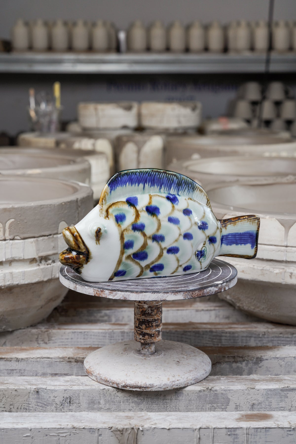 Monterosso Art Factory LECCIA FISH